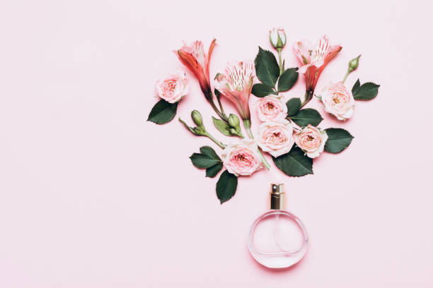 Why You Should Opt for Floral Perfumes: A Guide to the World of Fragra ...
